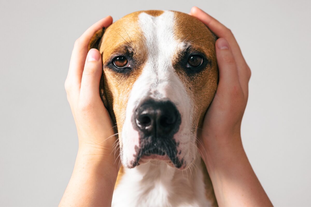 Scary Furnace Sounds to Watch Out for This Halloween! - Ballard ...